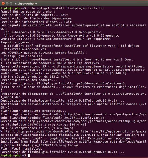 installer flash player sur ubuntu 16 04 t php fr