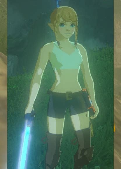 Linkle Mod Makes Breath Of The Wild Even Better Cat With Monocle