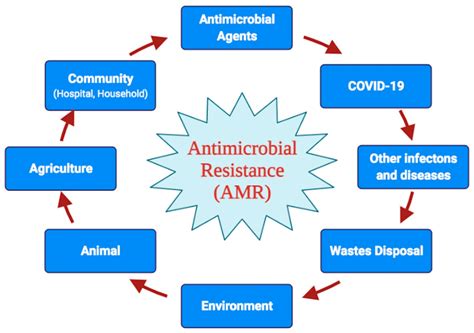 Jox Free Full Text Review On Multiple Facets Of Drug Resistance A