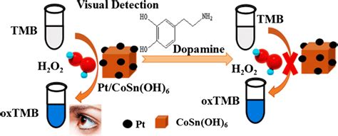The Schematic Diagram Of Detection Of H2o2 And Dopamine Based On The