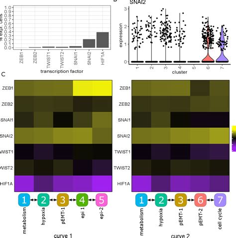 Single Cell Transcriptomics Reveals Varying Degrees 1 Of Epithelial