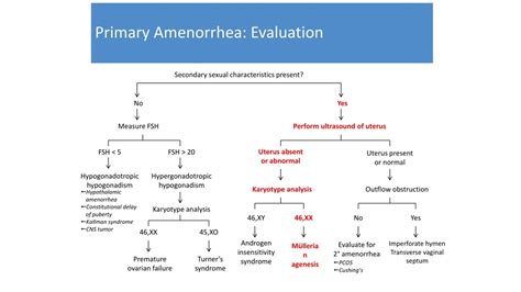 Ppt Primary Amenorrhea Powerpoint Presentation Free Download Id 512729