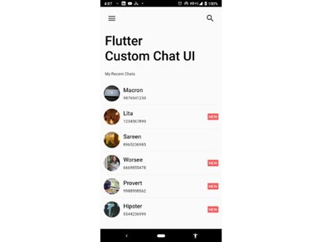 a flutter custom chat ui app