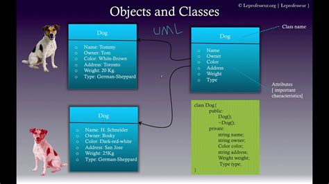 ⨘ } software engineering } 5 } object oriented concepts } objects