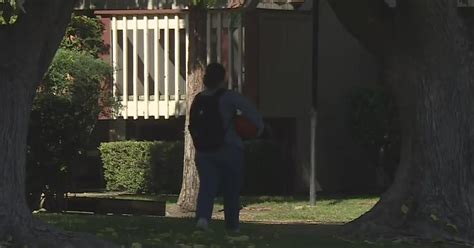 Police In Davis Investigating String Of Indecent Exposure Incidents