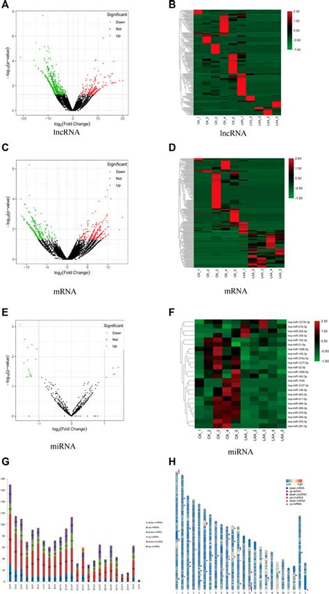 Frontiers Novel Insights Into The Potential Diagnostic Value Of