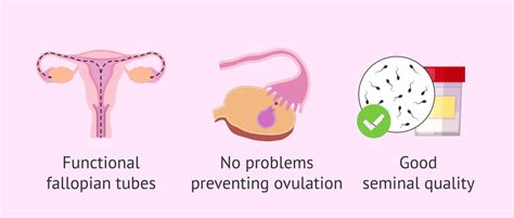 What Are The Advantages And Disadvantages Of Artifical Insemination