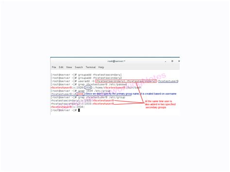 linux user management explained with examples