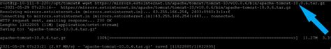 how to install tomcat on ubuntu linux [step by step]