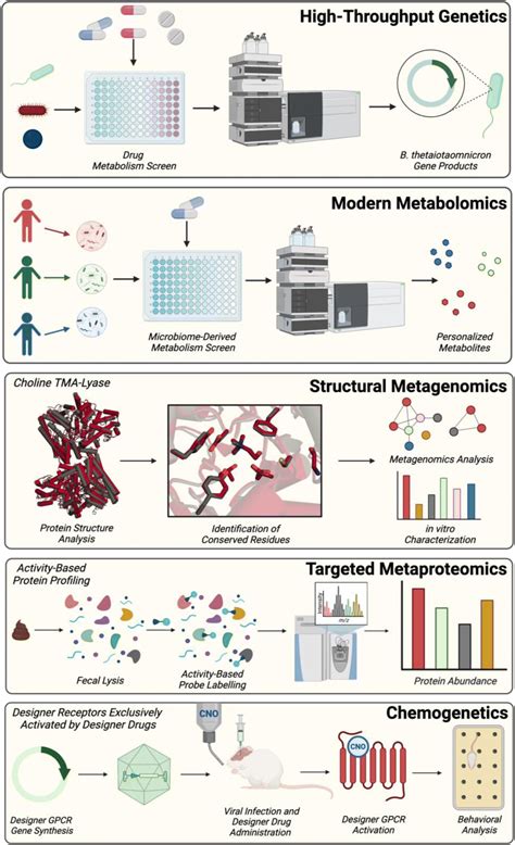Multi Omic Analysis Of Host Microbial Interactions Central To The Gut