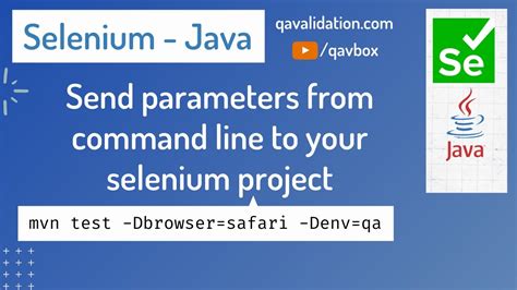 send parameters from command line to selenium project building