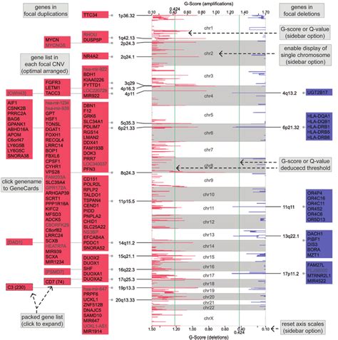 demo representation of the cnv focal cluster visualization g scores