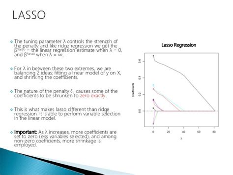 data science part xii ridge regression lasso and elastic nets