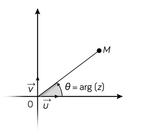formes trigonométriques et exponentielles fiche de cours