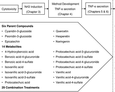 1 Experimental Scheme For Assessment Of Antioxidant Defence And