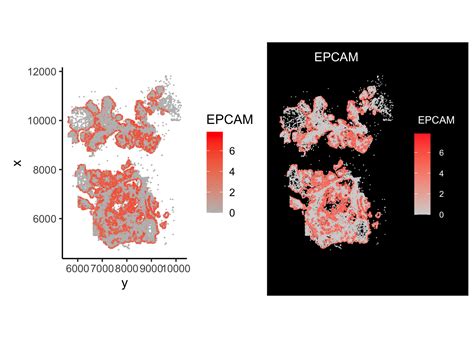 How To Construct A Spatial Object In Seurat Dna Confesses Data Speak