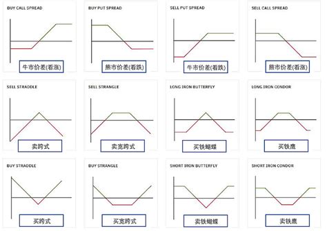 图说期权策略 本文的标题是《图说期权策略》，想从另外一个角度去解读期权的策略。注意，我们讲的是期权的策略，指的是有正股对冲的期权或者2 雪球
