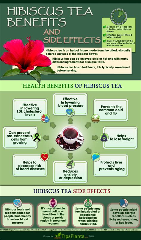 Easy Way To Know About Hibiscus Tea Benefits [infographic]