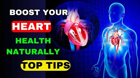 ️ Effective Ways To Improve Your Heart Health Naturally ️ Youtube