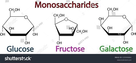 Colored Chemical Illustration Monosaccharides Glucose Fructose Stock