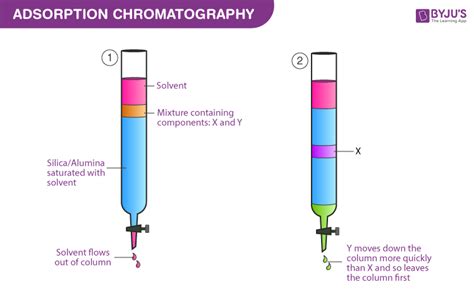 Chromatography Principle And Its Types Definition Principle Types Images