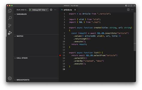 breakpoint debugging sst