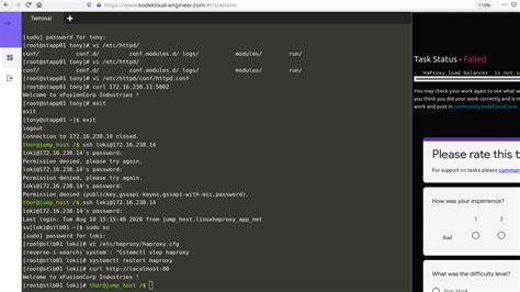 task error install and configure haproxy lbr kodekloud devops my xxx