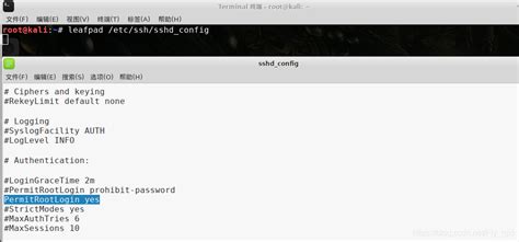 kali linux安装ssh服务 kaili如何安装ssh csdn博客