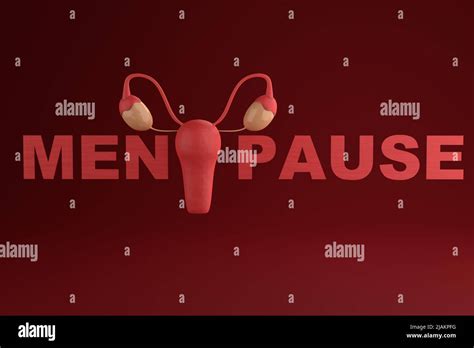 Menopause Written Word On Red Background Female Internal Organ Women