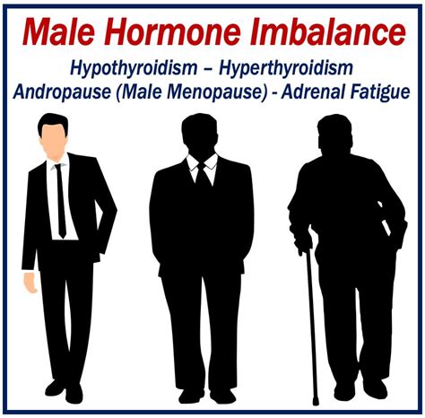 What You Need To Know About Male Hormone Imbalance