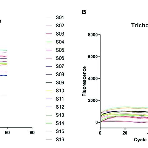 Loop Mediated Isothermal Amplification Lamp System Specificity