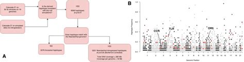 Variation And Functional Impact Of Neanderthal Ancestry In Western Asia