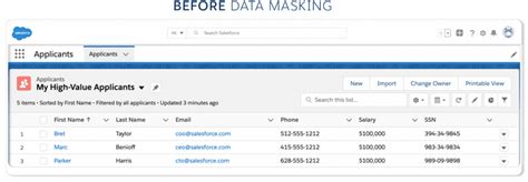 data mask protect sensitive data when testing apps salesforce