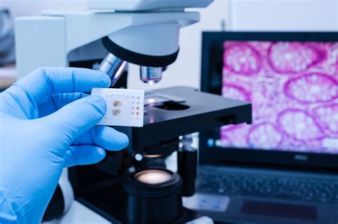 Anatomia Patológica Affidea Portugal
