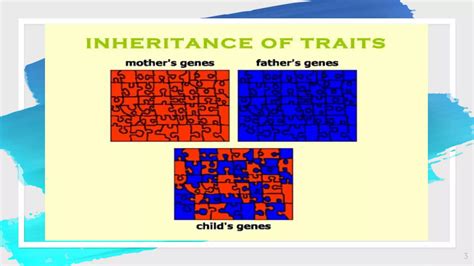 Sex Linked Inheritance Ppt
