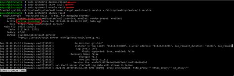 store passwords securely with hashicorp vault on ubuntu 20 04 vitux