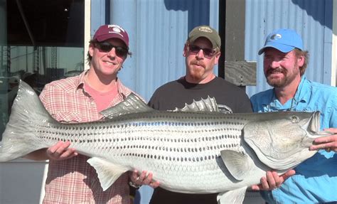 The Top 5 Biggest Bass World Records Outdoorhub