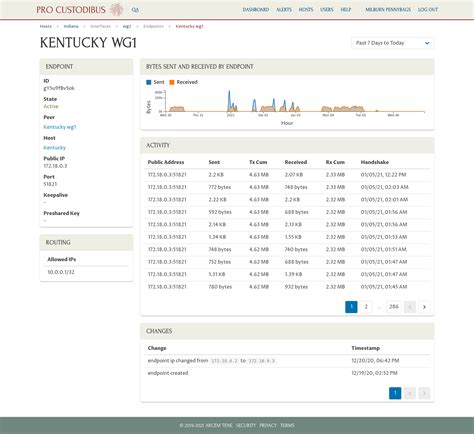 how to monitor who s connected to your wireguard vpn pro