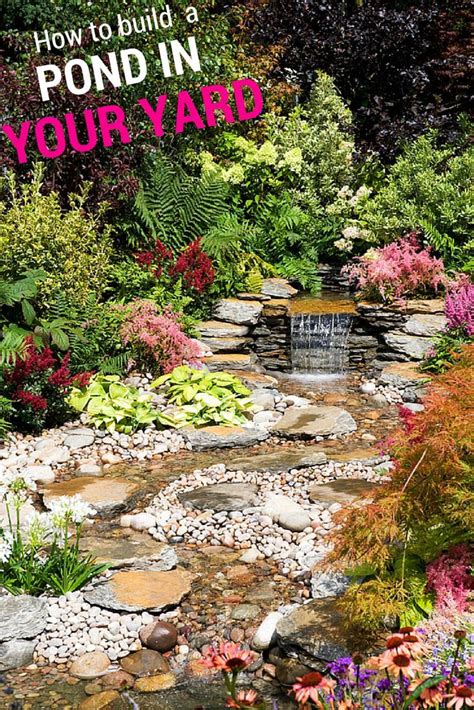 How To Build A Pond In Your Yard It S Not As Easy As Just Digging A