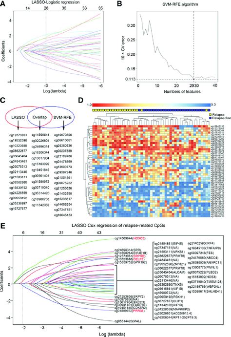 construction of cpg based classifier lasso logistic algorithm a and