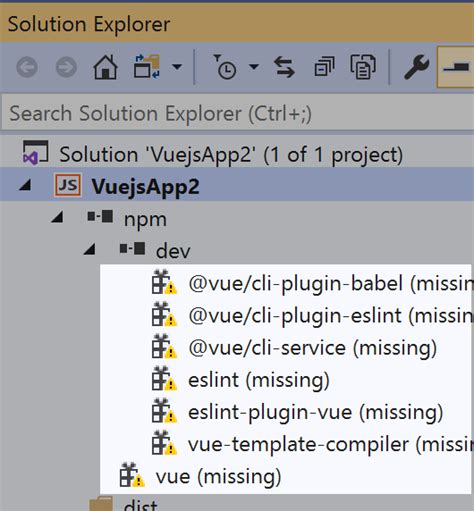 build error running vue js web application in visual