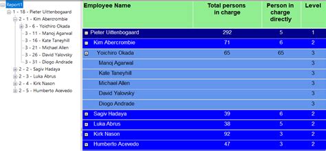 managing recursive group on ssrs reporting services reports