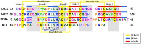 Alignment Of Crd Sequences Corresponding To Bcma Taci1 Taci2 And Br3