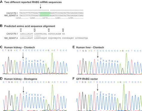 multiple sequence alignment of reported and experimentally identified