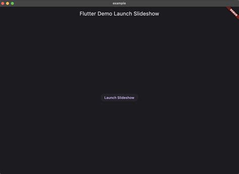 flutter slideshow flutter package