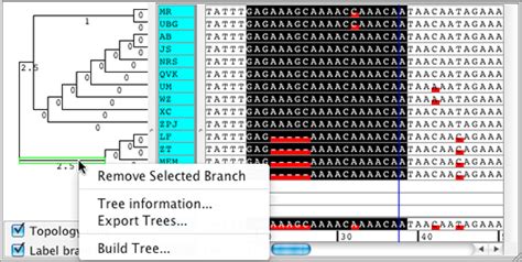 new features in codoncode aligner 4 0 dna sequence assembly and