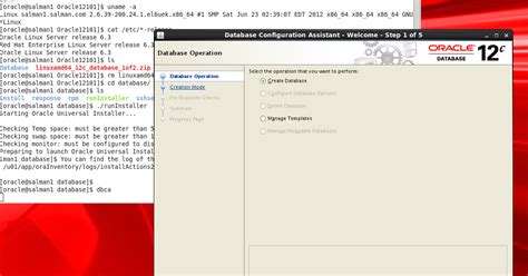 creating oracle database using dbca for 12c r1 oraclenext solution