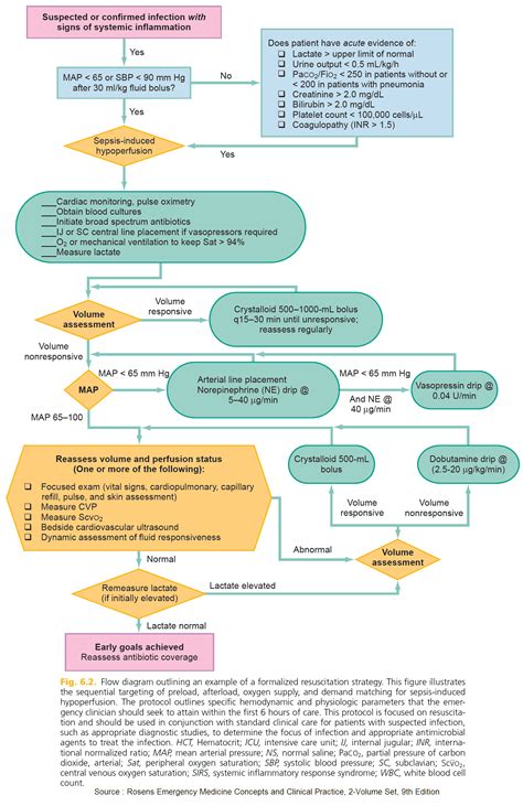 Sepsis Algorithm And Differential Diagnosis Manual Of Medicine