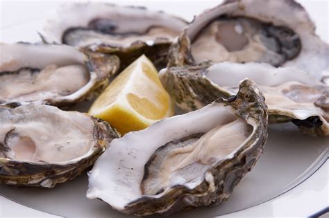 Bivalves Việt Nam Seafood