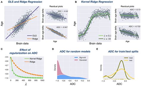 frontiers correlation constraints for regression models controlling